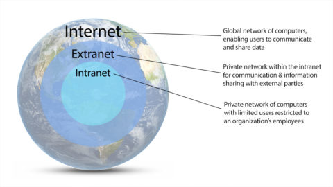 Internet vs Intranet vs Extranet: What’s the Difference?