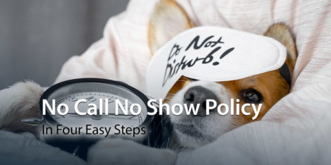 No Call No Show Policy In Four Easy Steps